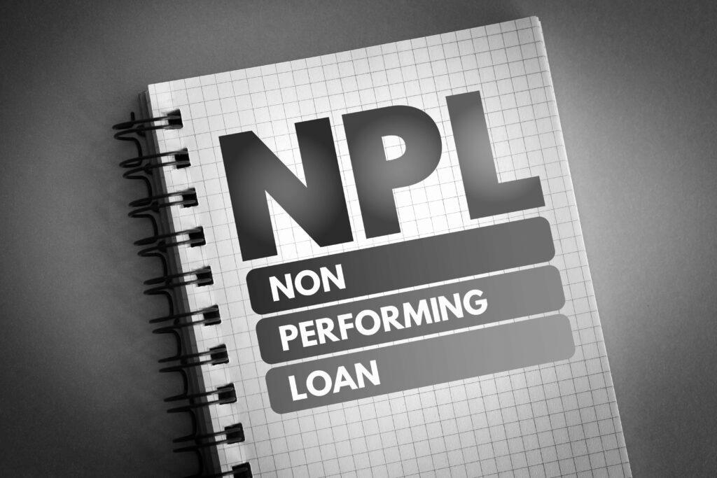Mature NPL projects pushed back to 2023 - NPL Confidential