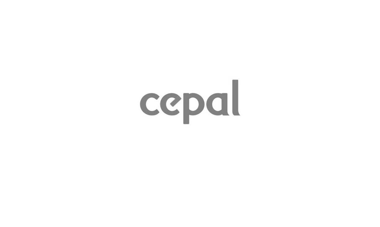 The highlights behind the election of new board at Cepal - NPL Confidential
