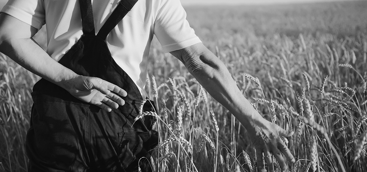 Mini guide to farmers' NPLs - NPL Confidential